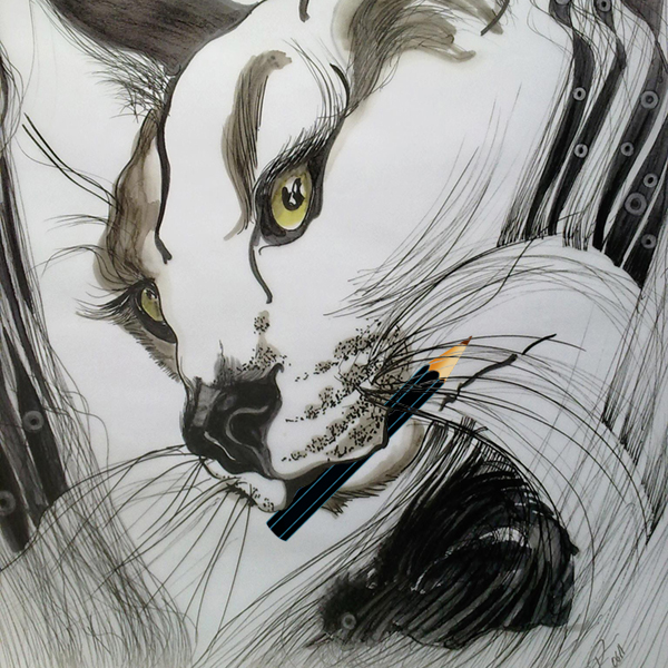 Page blanche – Isabel da Rocha